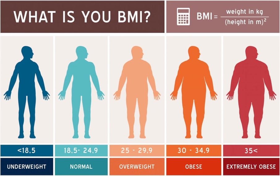 Obesity 5 Home Remedies To Get In Shape Ayurveda Benefits Obesity 5 Home Remedies To Get In Shape Ayurveda Benefits